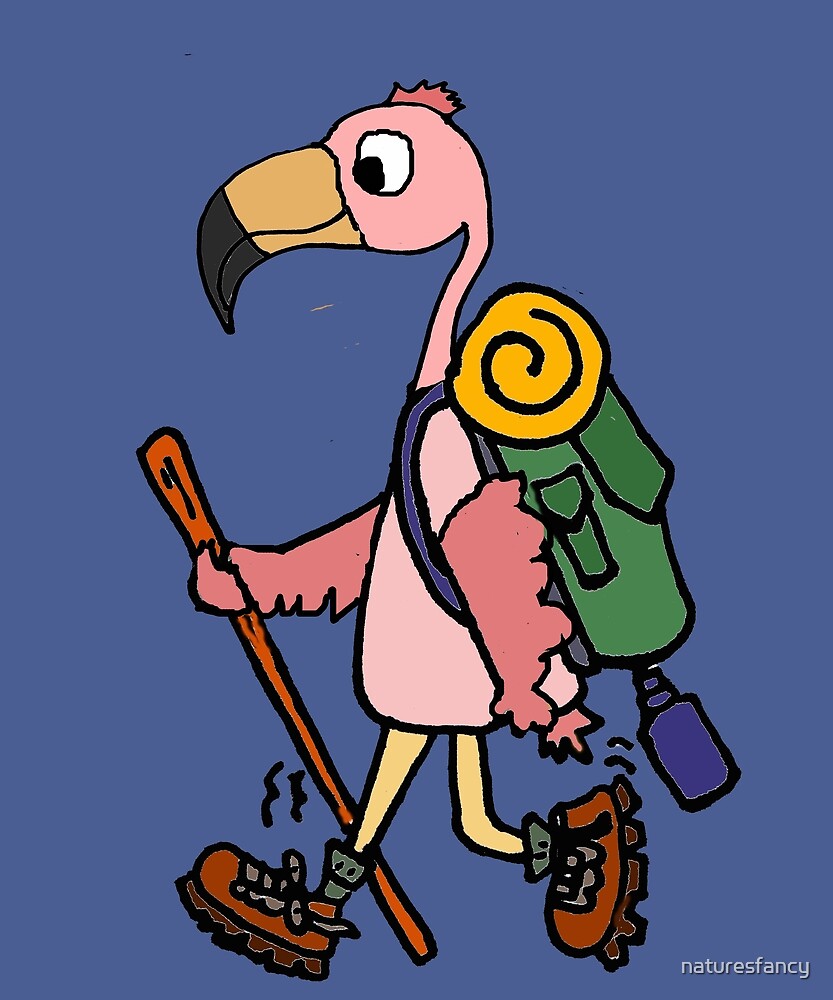"Funny Pink Flamingo Hiking Cartoon" by naturesfancy | Redbubble