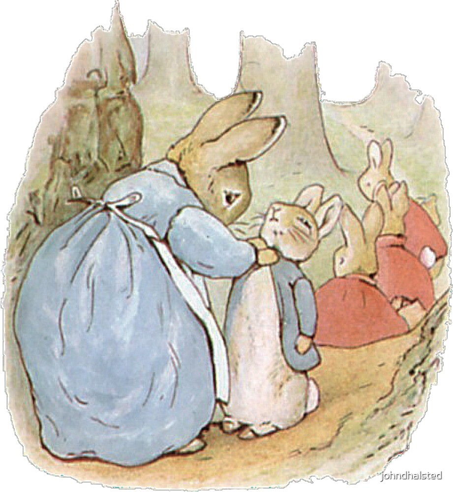 NOW RUN ALONG DEARS” said MRS RABBIT HER CHILDREN - from the TALE OF ...