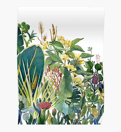 Plants Posters | Redbubble