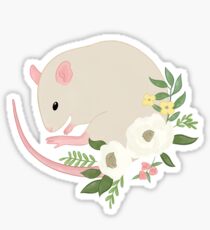 Rat Stickers | Redbubble