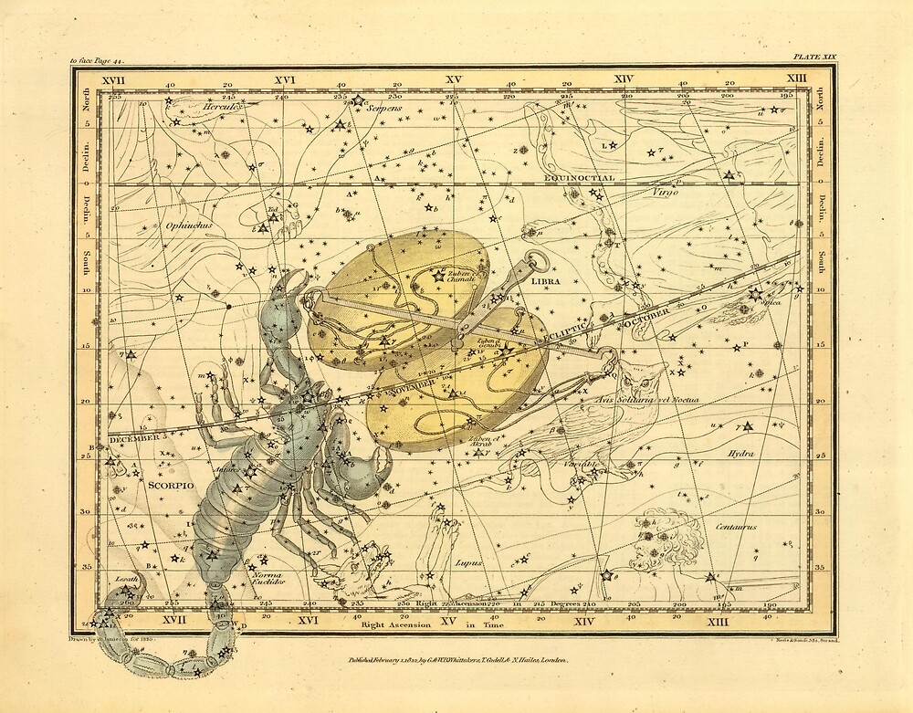 "Vintage Scorpio Constellation Map (1822)" by BravuraMedia | Redbubble