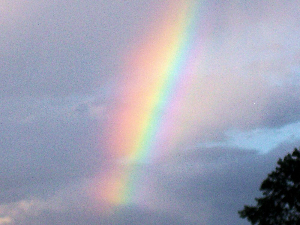 "Brightest Rainbow I've Ever Seen" by Dan McKenzie | Redbubble
