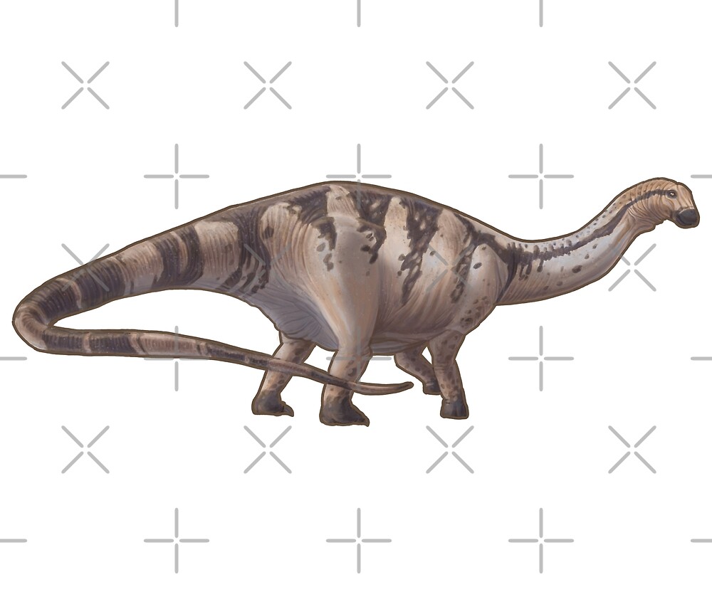 "Brontosaurus excelsus" by Sean Closson | Redbubble