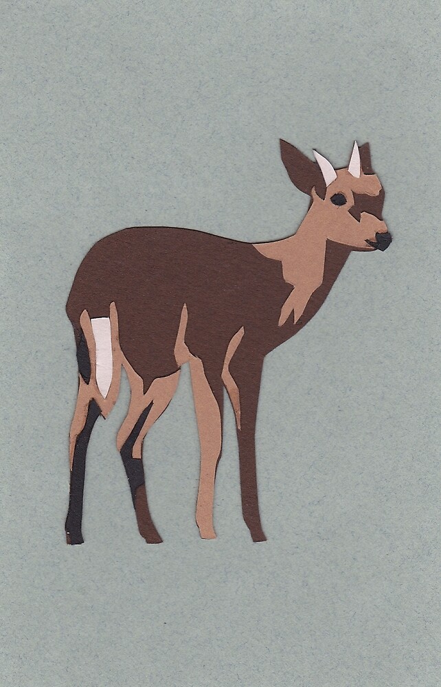 "Zanzibar Suni" by thesilkmoth | Redbubble