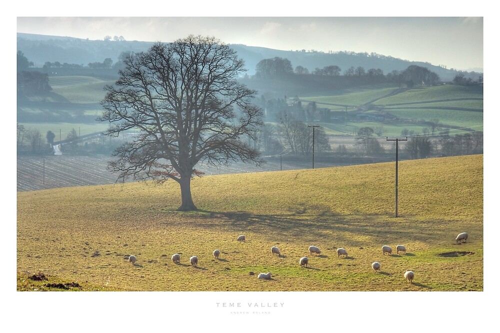 "Teme Valley, Worcestershire" by Andrew Roland | Redbubble