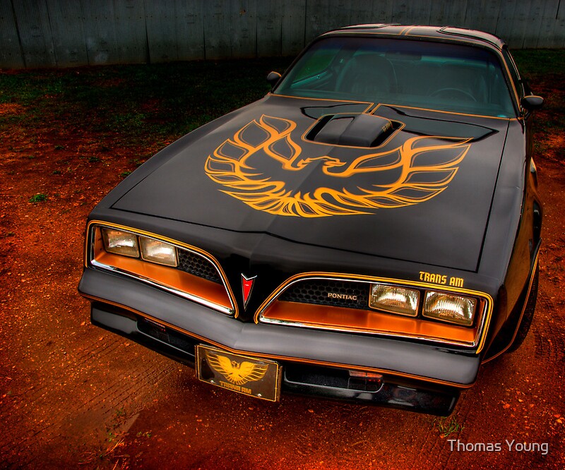 "Trans Am 3" by Thomas Young | Redbubble