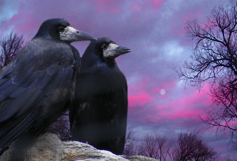 "Samhain Ravens" by imphavok | Redbubble