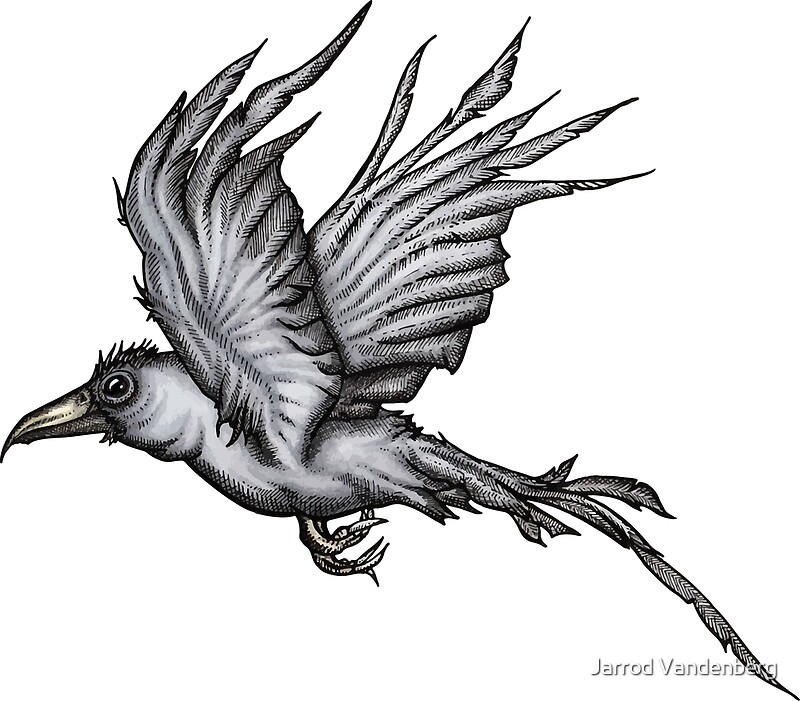 "Scavenger, Hand-Illustrated Raven" by Jarrod Vandenberg | Redbubble