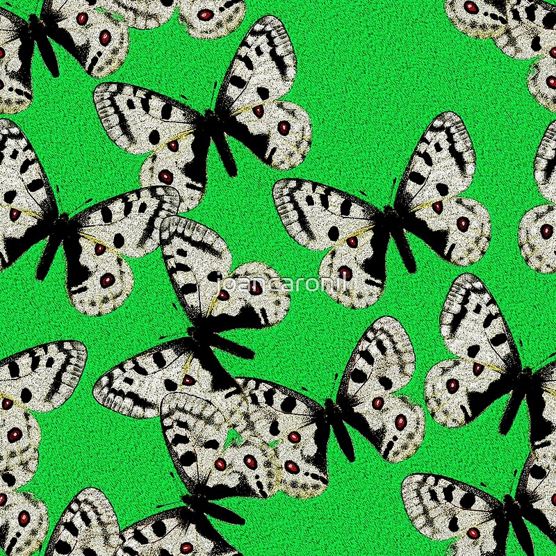 "Parnassius apollo" by joancaronil | Redbubble