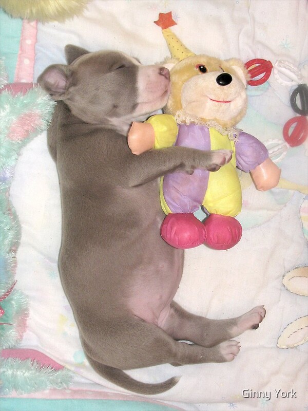 "I Love My Stuffy" by Ginny York | Redbubble