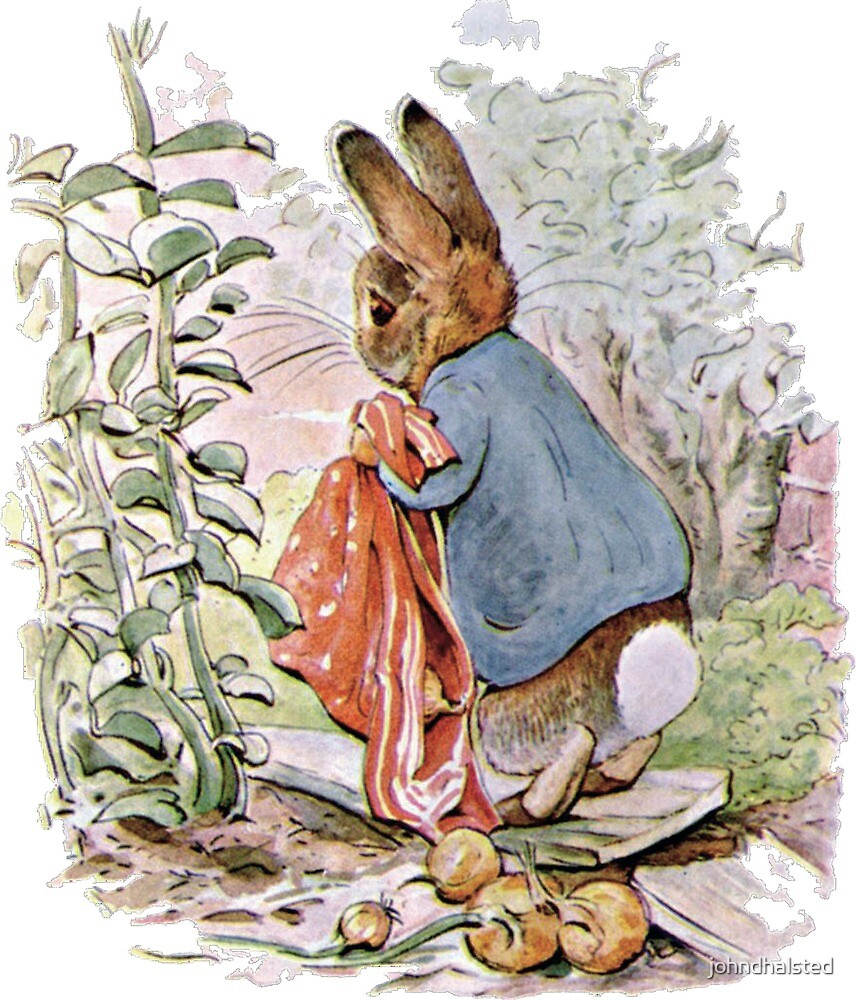 "ON THE WAY HOME PETER DROPPED MOST OF THE ONIONS" by johndhalsted ...