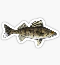 Walleye Stickers | Redbubble