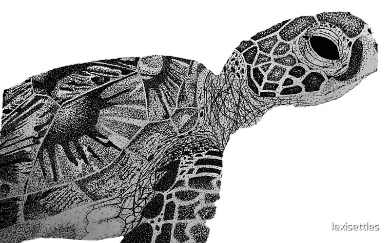 "Sea Turtle Stippling" by lexisettles | Redbubble