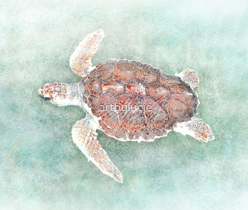 "Sea Turtle 2" by artbylucie | Redbubble