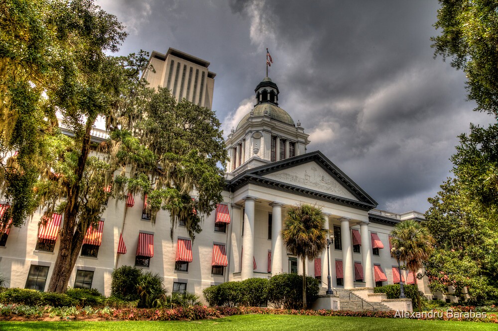 "Florida State Capitol" by Alexandru Barabas | Redbubble