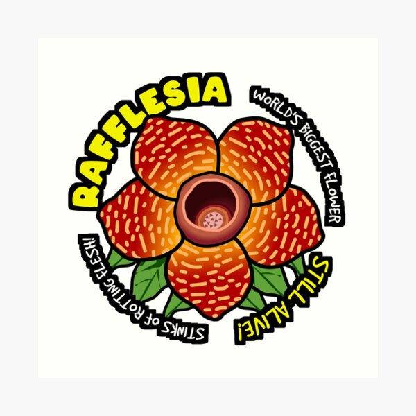 Rafflesia Art Prints | Redbubble