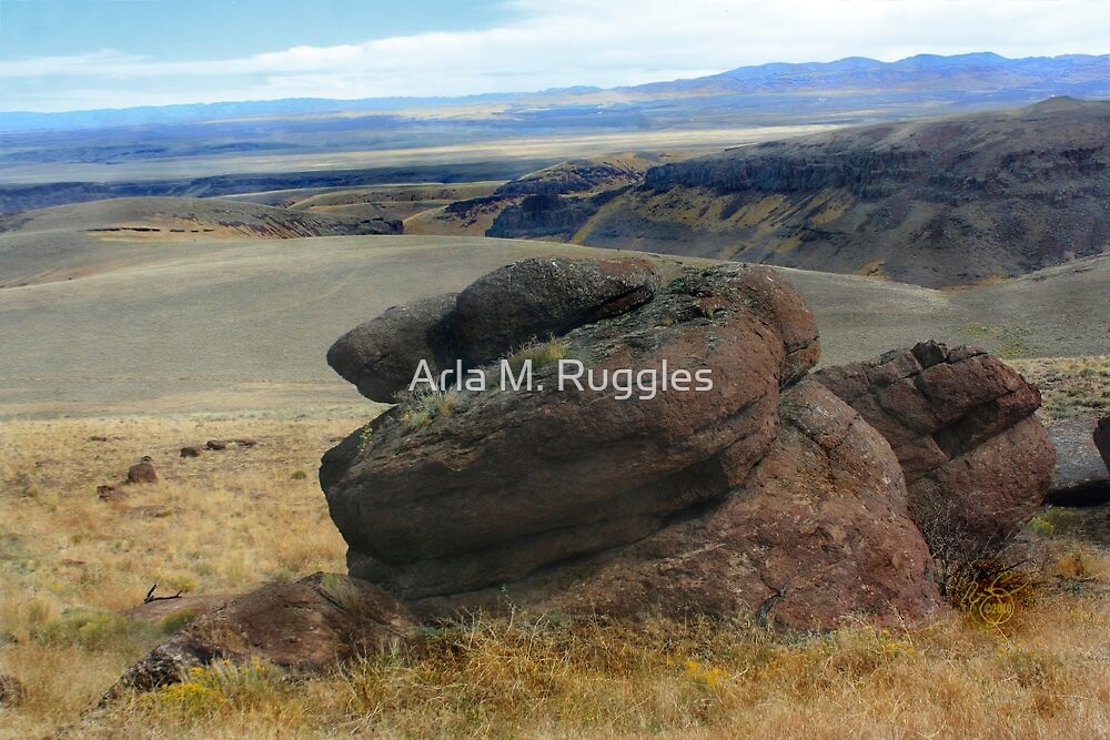"The Watcher" by Arla Ruggles | Redbubble