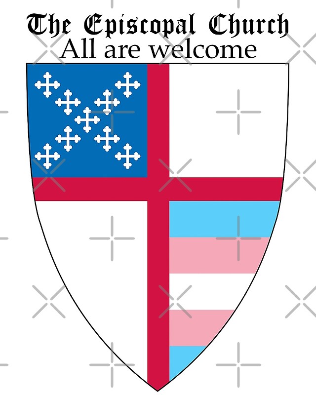 "Episcopal Church Shield with Trans Pride 1" by litmusician | Redbubble