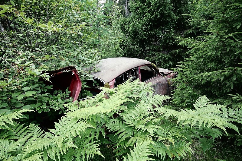 "12.7.2019: Old Saab in the Forest" by Petri Volanen | Redbubble