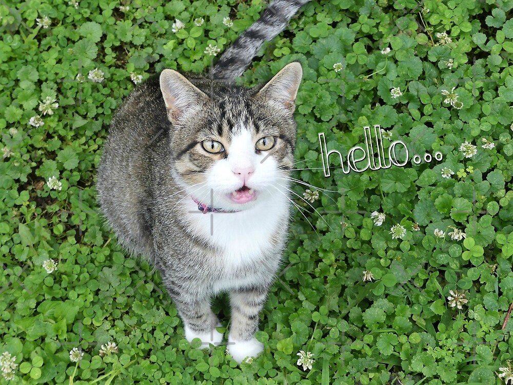 "Cat in Clover Saying Hello" by FrankieCat | Redbubble