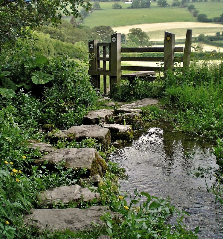 "Path & Stream" by Julesrules | Redbubble