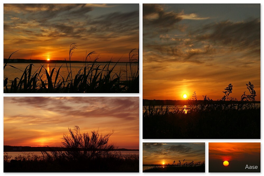 "Sunset Collage" by Aase | Redbubble