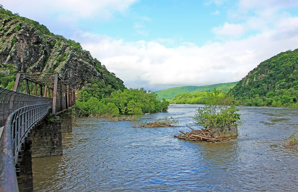"A Bridge Across the Converging Rivers" by Cora Wandel | Redbubble