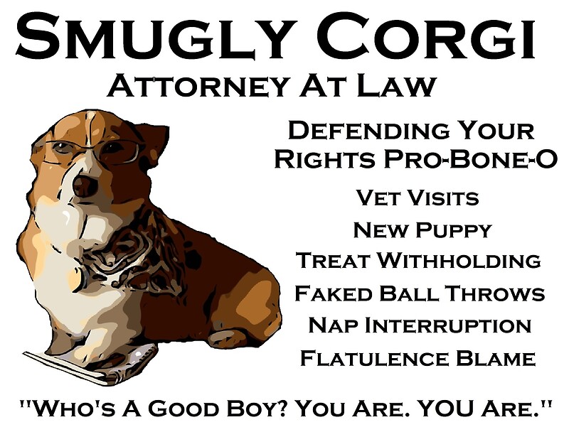 "Smugly Corgi - Attorney At Law" by Hvbc | Redbubble