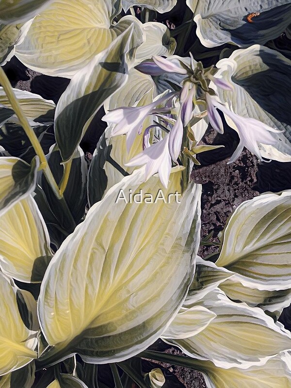 Hosts By Aidaart Redbubble