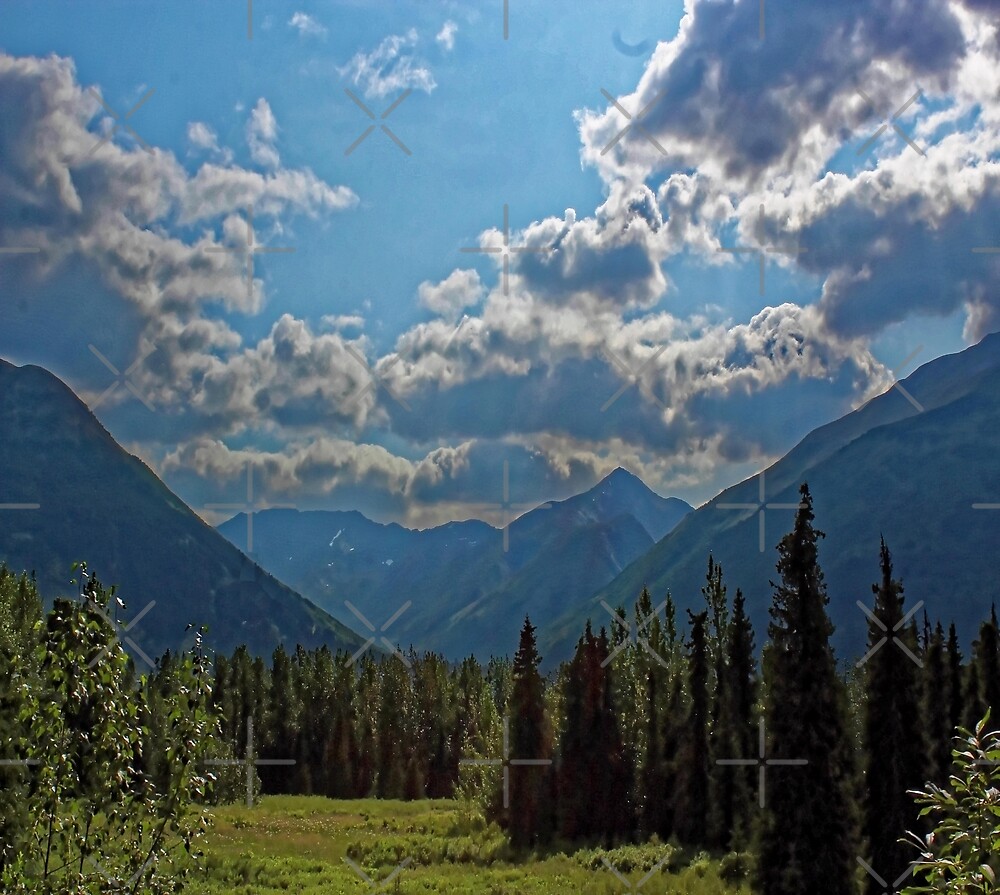 "Looking Up Valley" by PhrozenPhotos | Redbubble