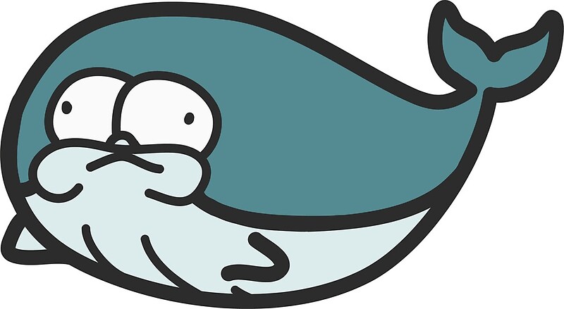 "Derp Whale Cartoon " by oesty | Redbubble
