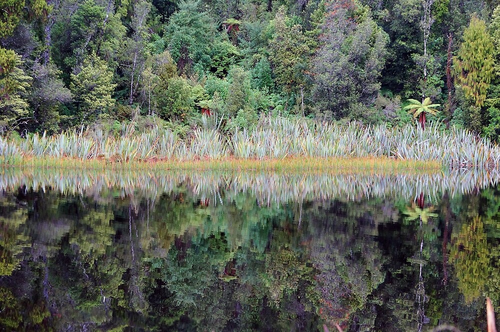 "Mirrored" by Harry Oldmeadow | Redbubble