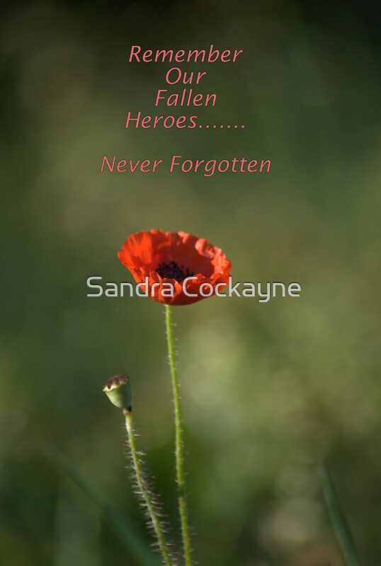 "Remember Our Fallen Heroes........Never Forgotten" by Sandra Cockayne ...