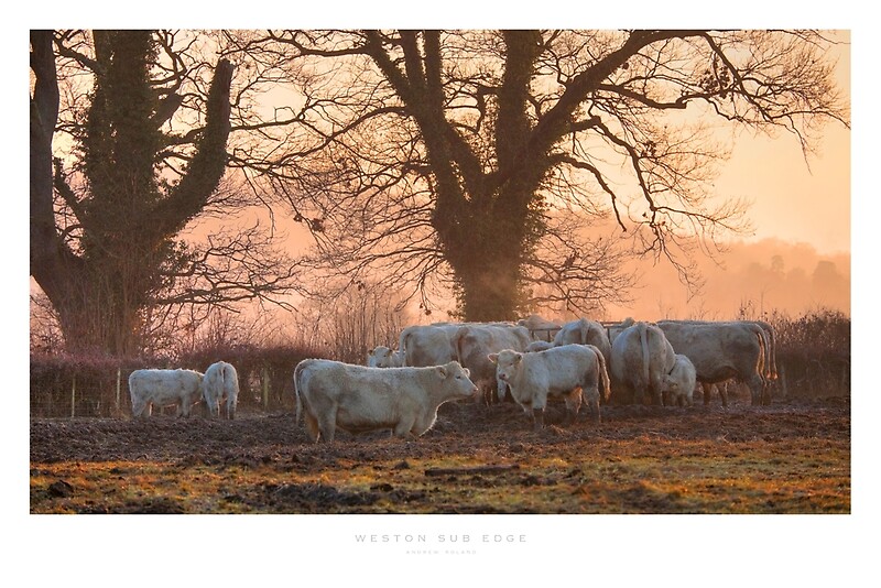 "Weston Subedge, Gloucestershire" by Andrew Roland | Redbubble