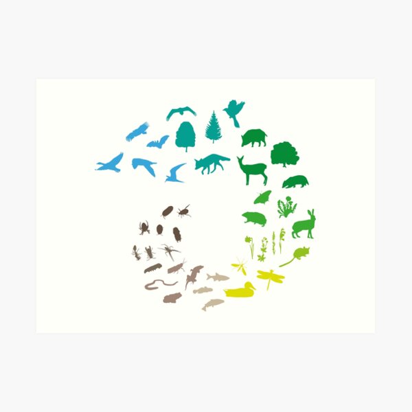 Biodiversity Art Prints | Redbubble