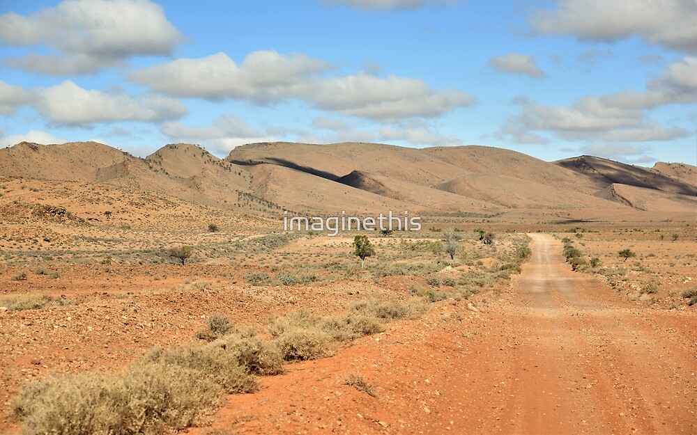 "Outback track near Puttapa Gap" by imaginethis | Redbubble