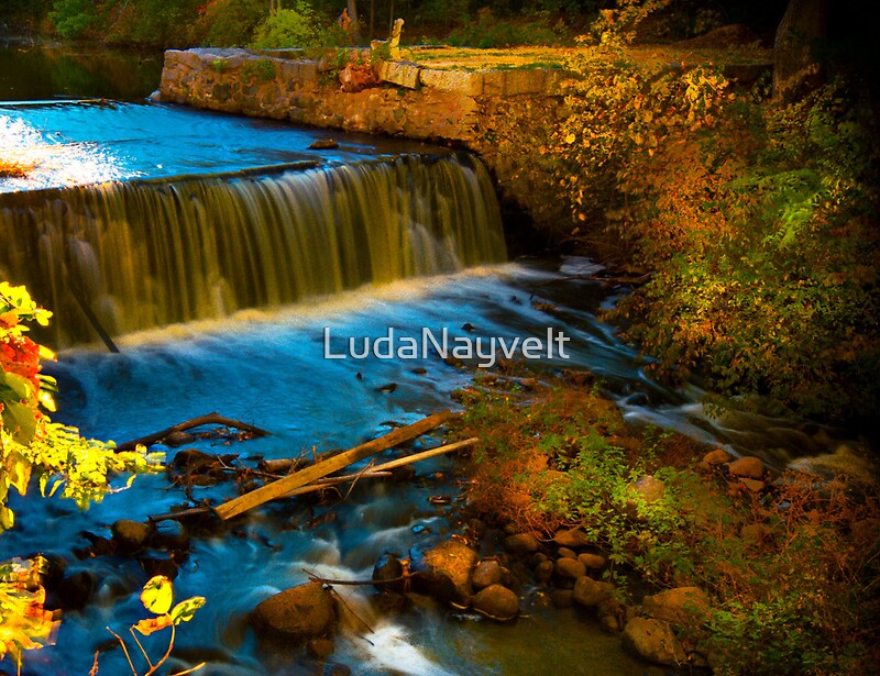 "Walpole Town Forest III - Little water fall" by LudaNayvelt | Redbubble