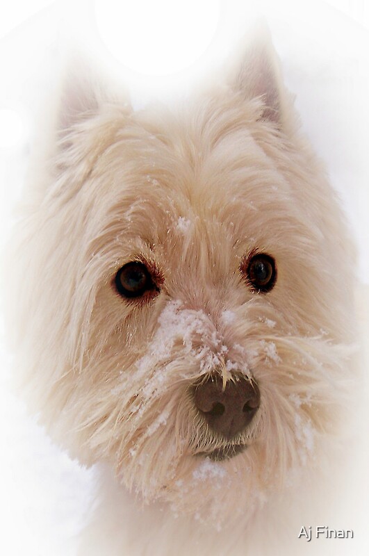 "The Scottie Dog. " by Aj Finan | Redbubble