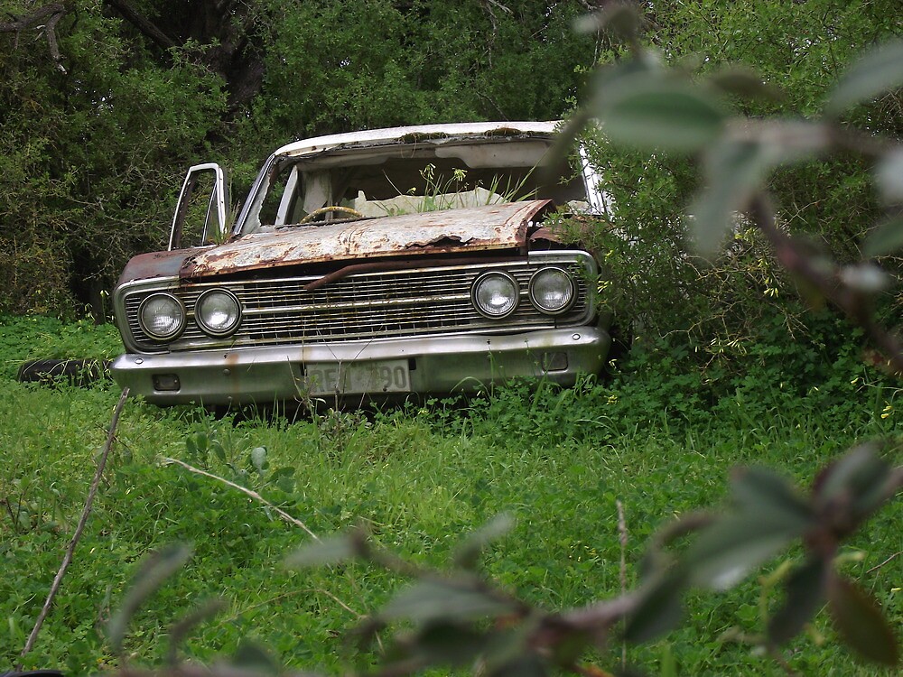 "Rusty ford-ford falcon rusty wreck" by Carmel Renehan | Redbubble