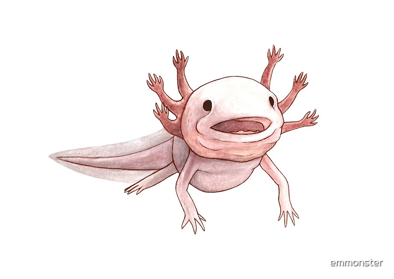 "Axolotl mutant" by emmonster | Redbubble