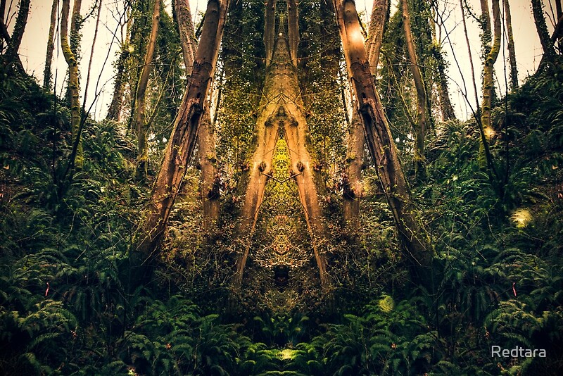 "Faerie Portal" by Redtara | Redbubble