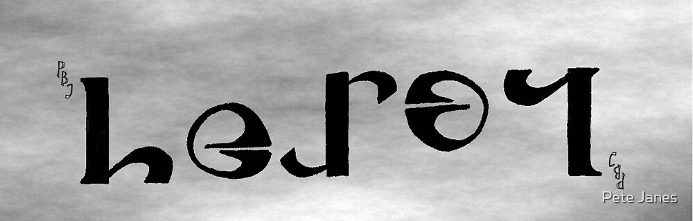 "Leroy Ambigram" by Pete Janes | Redbubble