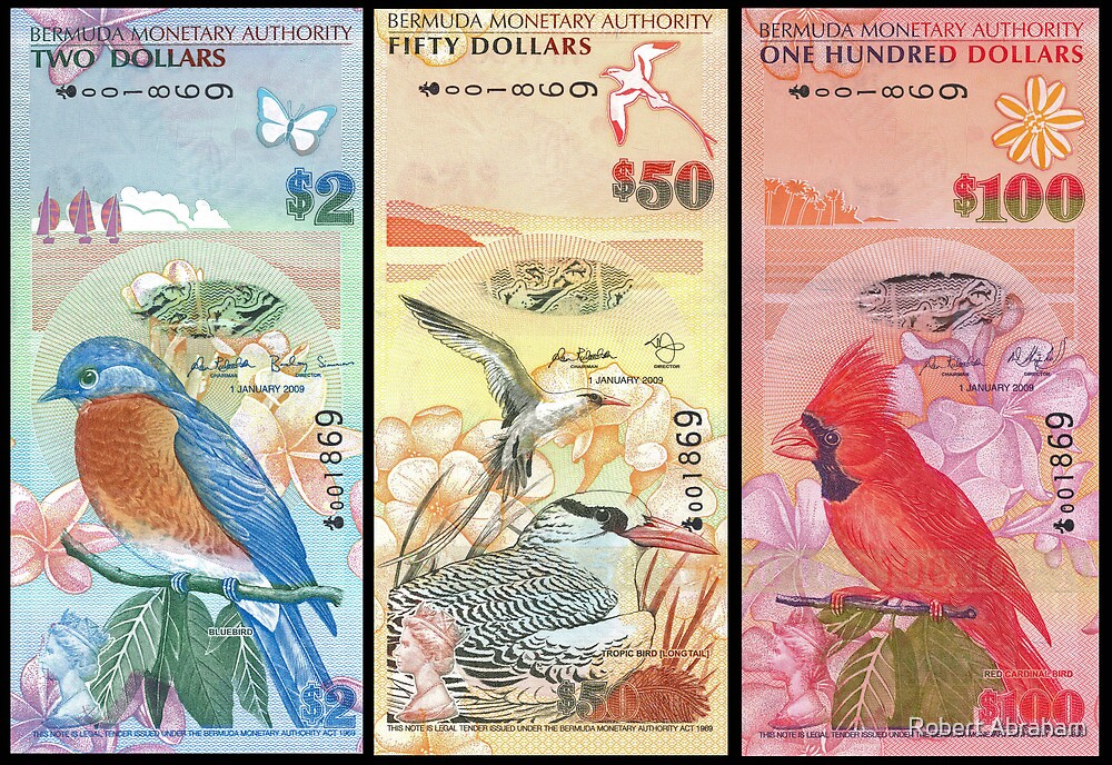 "Birds Of Bermuda On Banknotes" by Robert Abraham | Redbubble