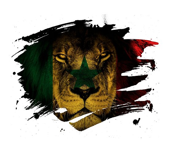 "Senegal Lion Flag Paint Splatter" Poster by ockshirts | Redbubble