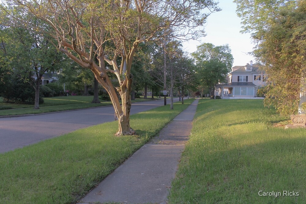 "Quiet and Peaceful Street" by WeeZie | Redbubble