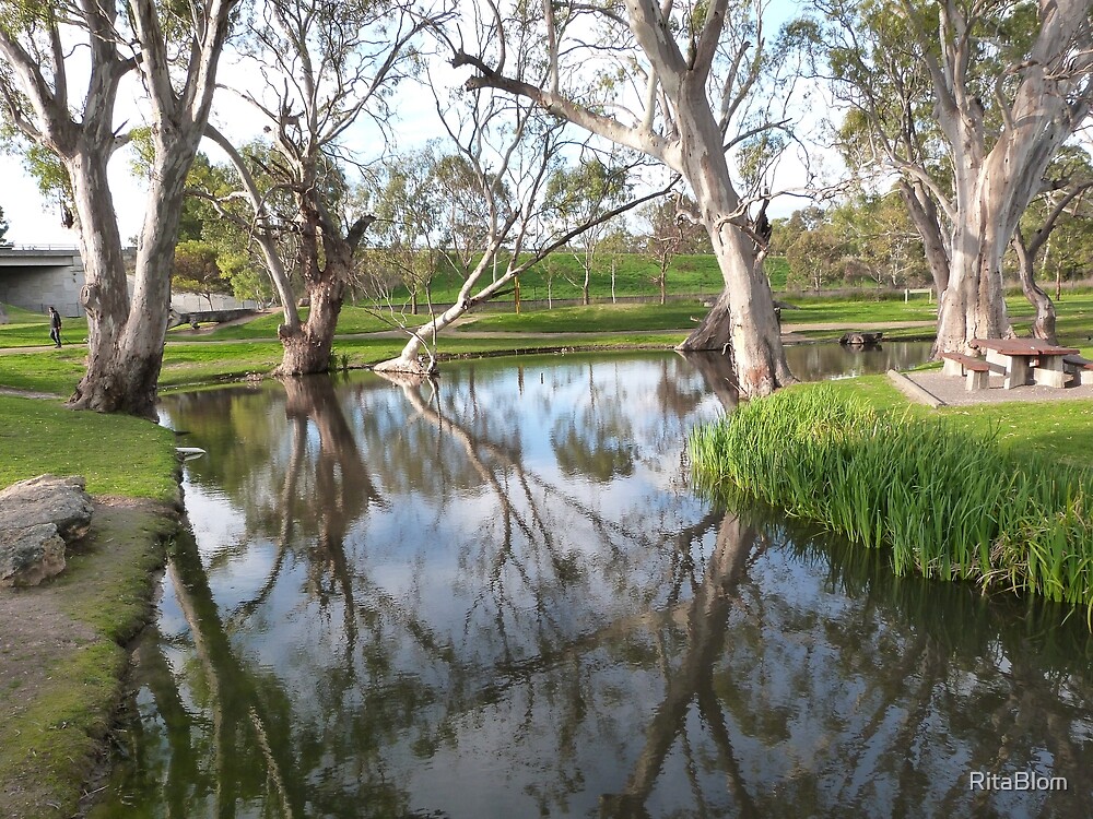 "Pretty Reflections in Tatiara Creek. Rural Bordertown, Sth. Australia ...