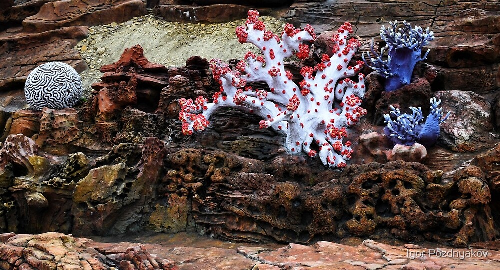 "Coral Sculpture. Vladivostok Oceanarium" by Igor Pozdnyakov | Redbubble