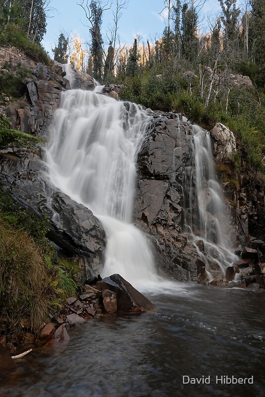 "Beautiful flow of Steavenson Falls" by David Hibberd | Redbubble