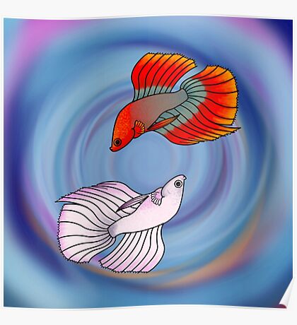 Betta Fish: Posters | Redbubble
