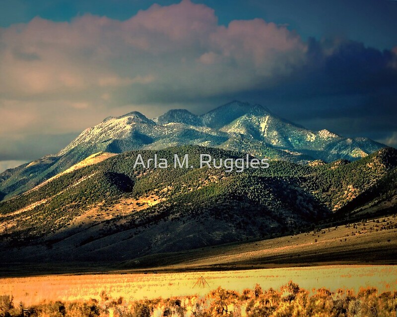 "Exchequer & Montgomery" by Arla Ruggles | Redbubble